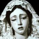 𝘛𝘩𝘦 𝘢𝘴𝘺𝘭𝘶𝘮 | DISBOARD: Discord Server List