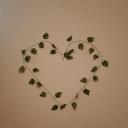 better fly | DISBOARD: Discord Server List