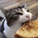 Super Simulverse (non canon) | DISBOARD: Discord Server List