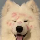 Puppy Love | DISBOARD: Discord Server List