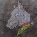 Robo_Husky's server | DISBOARD: Discord Server List