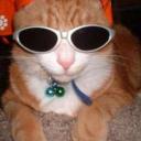 swifty's galère | DISBOARD: Discord Server List