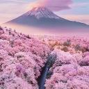 Discord servers tagged with Japanese | DISBOARD