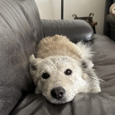 Join Luna appreciation server | Discords.com