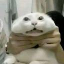 Discord servers tagged with filipino | DISBOARD