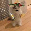 Discord servers tagged with hispanic | DISBOARD