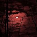 Vampire Chronicles: New Blood | DISBOARD: Discord Server List