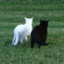 Discord servers tagged with filipino | DISBOARD