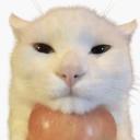 The Awesome Goobers | DISBOARD: Discord Server List