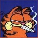 Discord servers tagged with 420 | DISBOARD