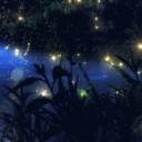 Firefly Studios | DISBOARD: Servidores de Discord