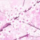 ༘ 𝐬𝐚𝐤𝐮𝐫𝐚 𝐥𝐞𝐚𝐯𝐞𝐬༉‧₊˚. | DISBOARD: Discord Server List