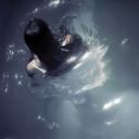 Discord servers tagged with dti | DISBOARD