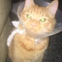 Discord servers tagged with poly | DISBOARD