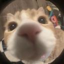 pwincess :3 | DISBOARD: Servidores de Discord