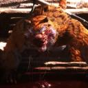 Disboard | DISBOARD: Discord Server List