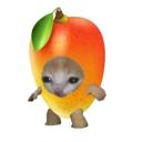 Discord servers tagged with Mango | DISBOARD