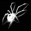 𓆩༺Spider Webz .༻𓆪₊˚ | DISBOARD: Discord Server List