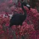 Discord servers tagged with sleep-token | DISBOARD