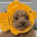 Discord servers tagged with poly | DISBOARD