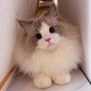 Discord servers tagged with edate | DISBOARD