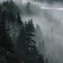 GhostTown gore ⚣ | DISBOARD: Discord Server List