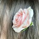 Roses | DISBOARD: Discord Server List