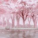 Servidores de Discord com a etiqueta tag | DISBOARD