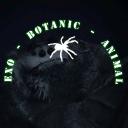 Exo - Botanic & Animal | DISBOARD: Discord Server List