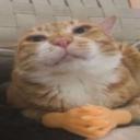 All Discord servers | DISBOARD: Discord Server List