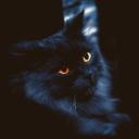 Discord servers tagged with deepwoken-guild | DISBOARD