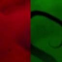 Warriors Orochi: All-Stars (RP) | DISBOARD: Discord Server List