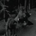 DISBOARD | Public Discord Server List