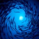 WOF: Cursed Tides | DISBOARD: Discord Server List