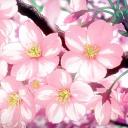 𝐌𝐇𝐀: 𝐕𝐢𝐜𝐭𝐨𝐫𝐢𝐚 | DISBOARD: Discord Server List