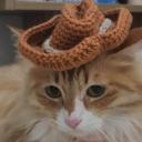 Discord servers tagged with fisch | DISBOARD