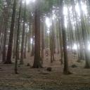 afterparty gateway | DISBOARD: Discord Server List