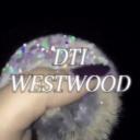 𝙙𝙩𝙞 ・𝙬𝙚𝙨𝙩𝙬𝙤𝙤𝙙 ꨄ | DISBOARD: Discord Server List