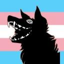 Discord servers tagged with trans | DISBOARD