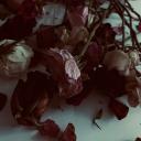 Wilted Flowers ; Dandy's World AU | DISBOARD: Discord Server List