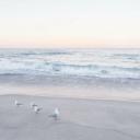 aetheria dti﹒gws﹒mod apps | DISBOARD: Discord Server List