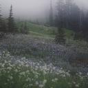 THE CRYPT ! | DISBOARD: Discord Server List