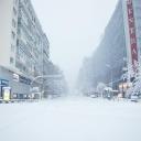 Those who remain | DISBOARD: Discord Serverlista