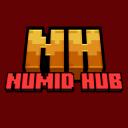 Numid Hub | DISBOARD: Discord Server List