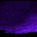 ★𝕾𝖎𝖓𝖓𝖊𝖗𝖘 𝖆𝖓𝖉 𝖂𝖎𝖓𝖓𝖊𝖗𝖘 | DISBOARD: Discord Server List