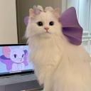 Discord servers tagged with discord-kitten | DISBOARD