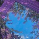 Search results for: trans | DISBOARD: Discord Server List