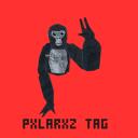 Pxlarxz Tag | DISBOARD: Discord Server List