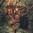 🌿 𝒯𝒽𝑒 𝐿𝒾𝓉𝓉𝓁𝑒 𝒯𝓇𝑒𝑒𝒽🏵𝓊𝓈𝑒 🌿 | DISBOARD: Discord Server List