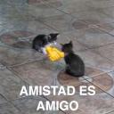 𝐏𝐚𝐧𝐚𝐬𝐝𝐞𝐂𝐡𝐢𝐥𝐥 | DISBOARD: Lista de Servidores de Discord